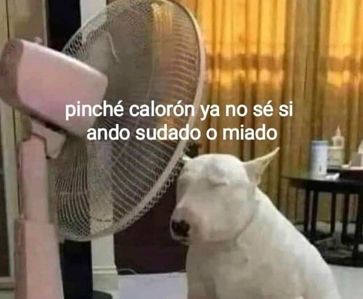 Memes Calor Sinaloa La Onda De Calor En México 2024 Trajo Los Mejores