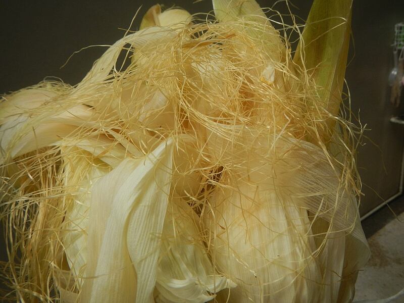 ¿Para qué sirve tomar té de pelo de elote? – El Financiero