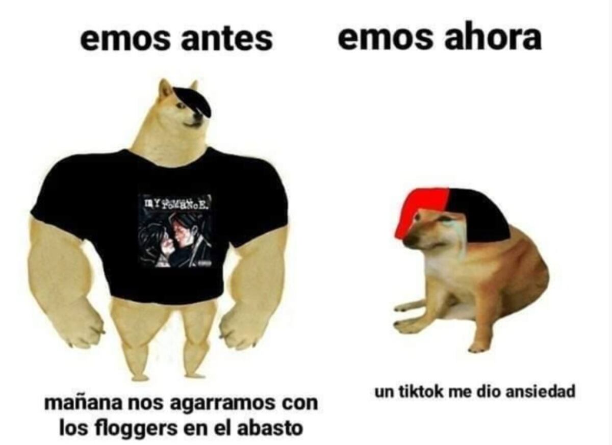 ¿Por qué se llama Cheems? La historia detrás del nombre del perrito que ...