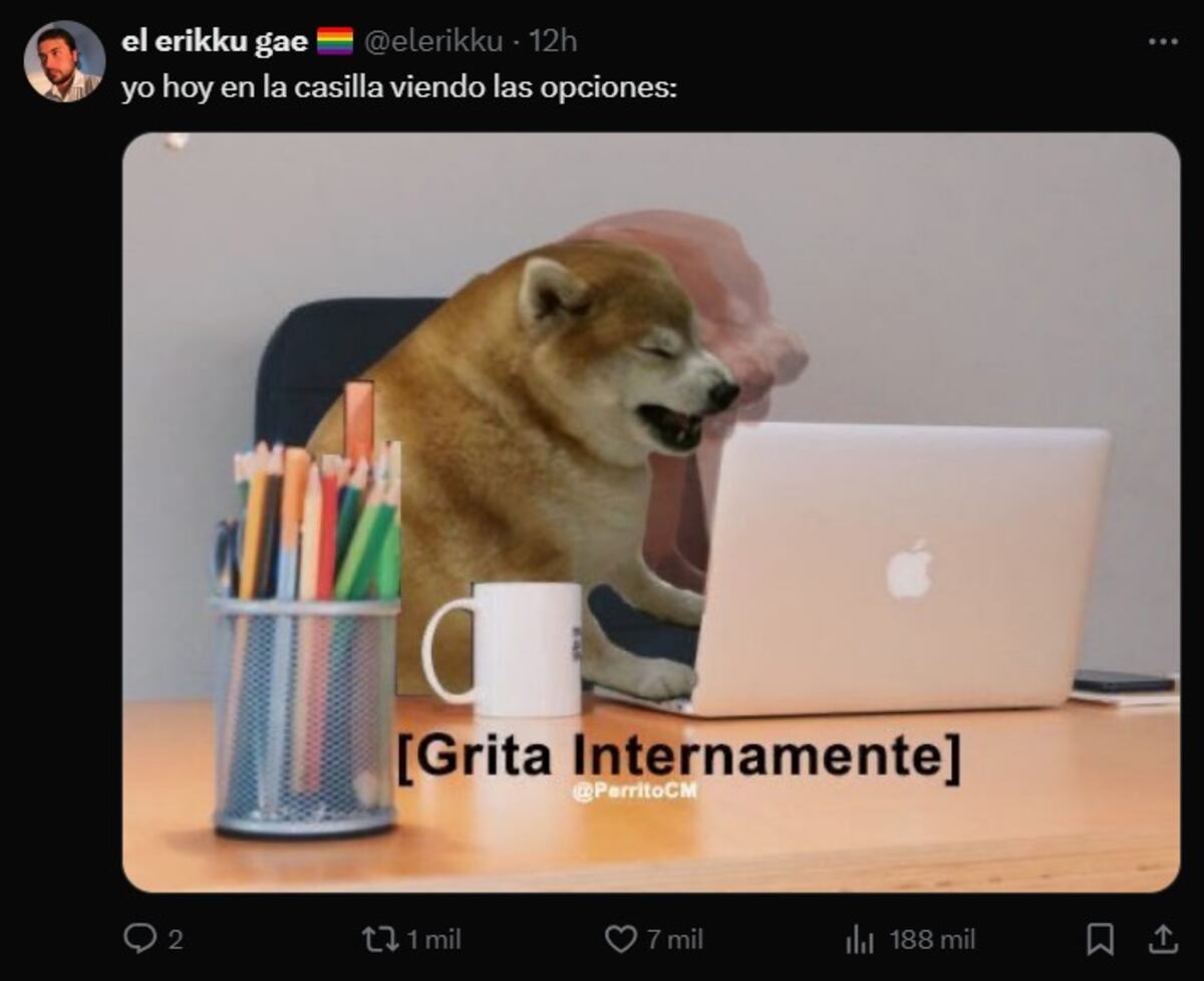 Perdieron en la Elección Presidencial 2024, pero ganaron en los memes ...