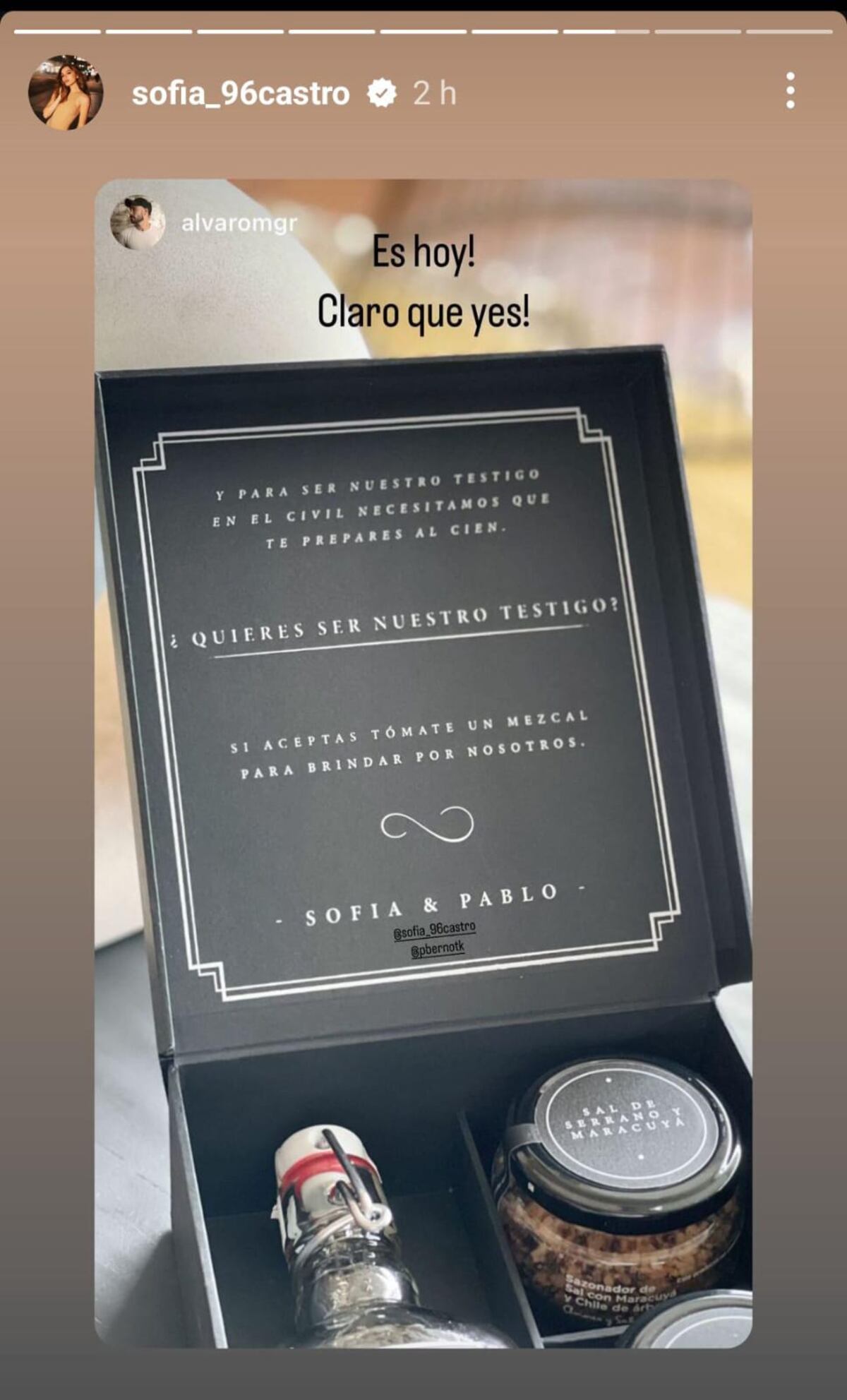 Sofía Castro se casa con Pablo Bernot: Esto sabemos de la boda – El Financiero