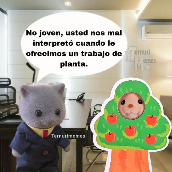 ¿De dónde salieron los ternurines que se roban Internet con tiernos ...