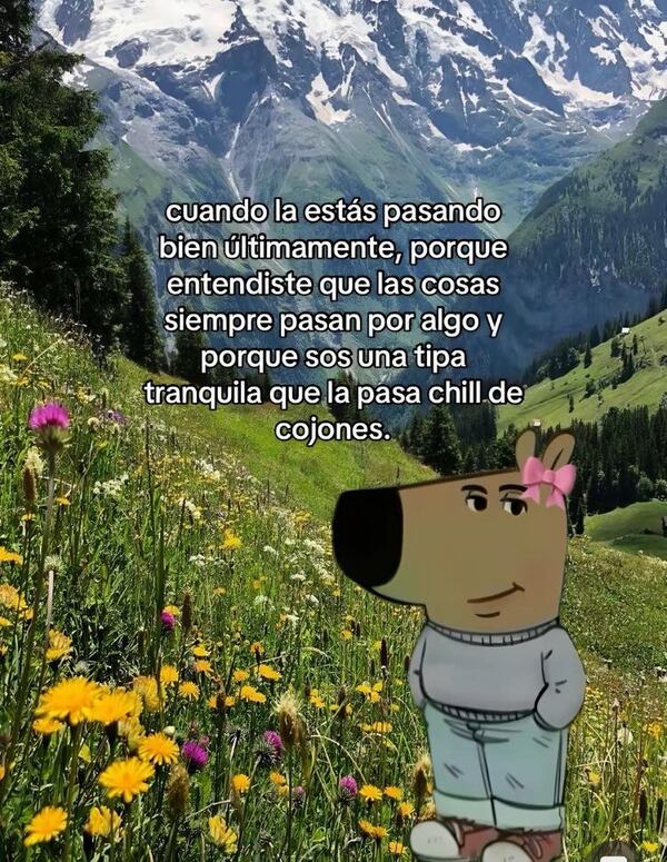 Otra vez en ‘onda con la chaviza’: ¿Quién es ‘Chill Guy’ y por qué se ...