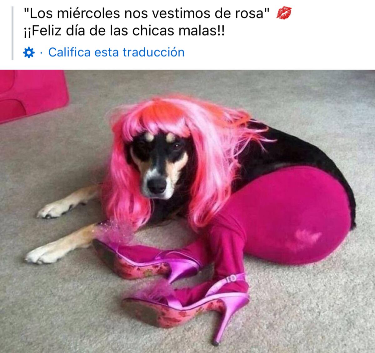 Día de ‘Mean Girls’: ‘Sube perdedora’, vamos a ver los memes ‘más fetch ...