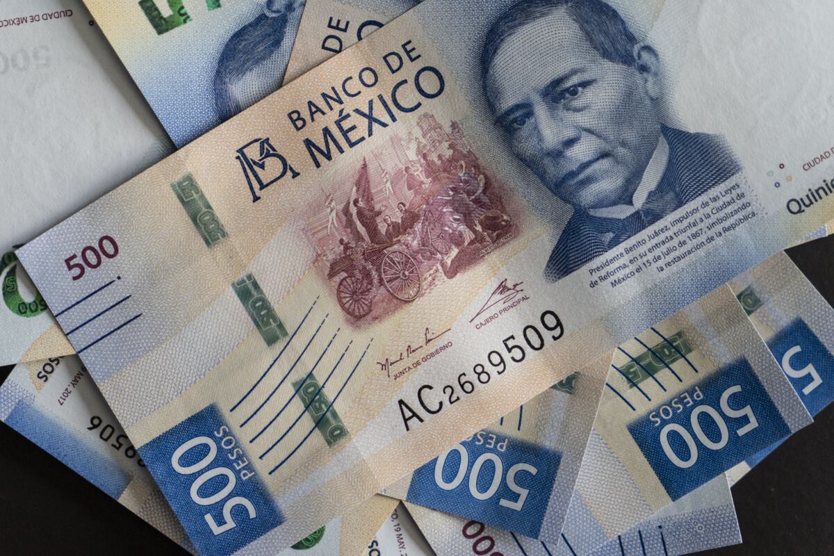 Inversiones con mayor rendimiento que los CETES: Estas pagan intereses ...