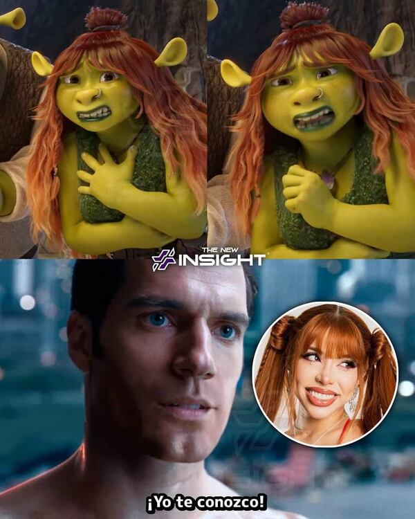 ‘Princesa, ¿pues qué te pasó?’ Los mejores memes de ‘Shrek 5′ tras ...