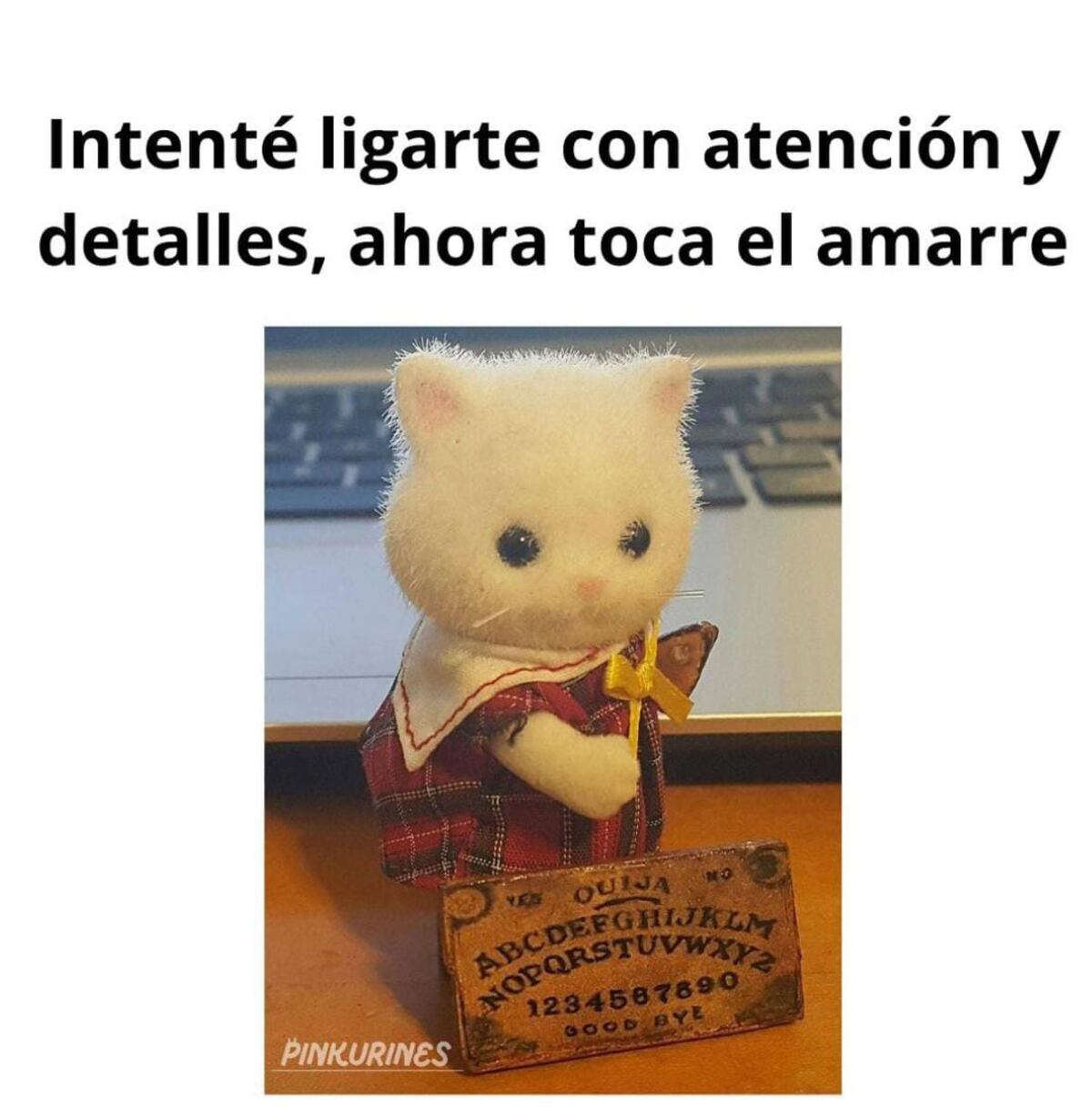 ¿De dónde salieron los ternurines que se roban Internet con tiernos ...