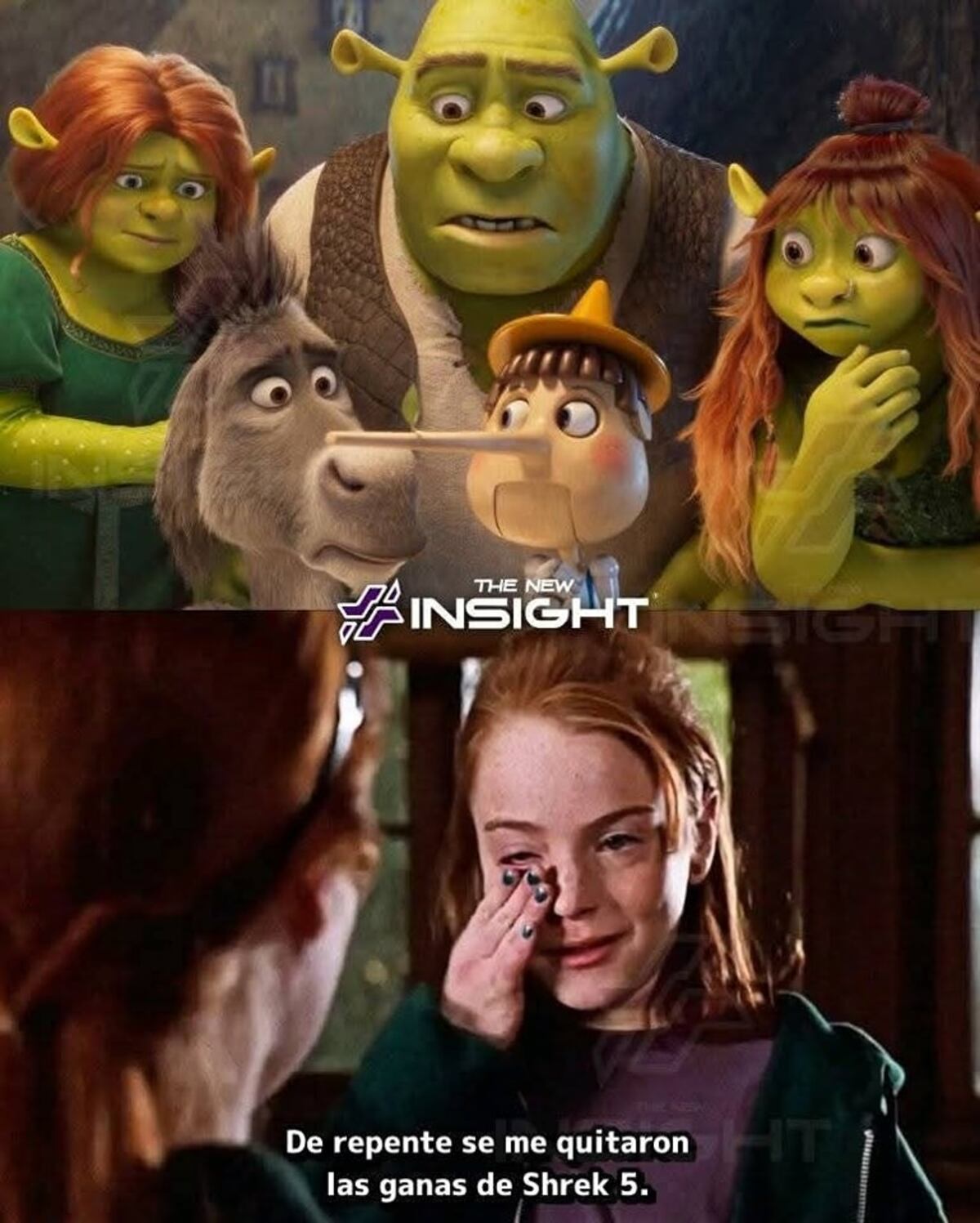 ‘Princesa, ¿pues qué te pasó?’ Los mejores memes de ‘Shrek 5′ tras ...