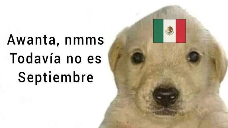 Quién me paga mi bolillo para el susto?’: Los memes de la alerta ...