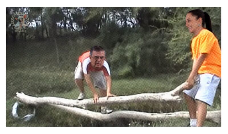 #EsClaudia: Los mejores memes de la victoria de Sheinbaum en la ...