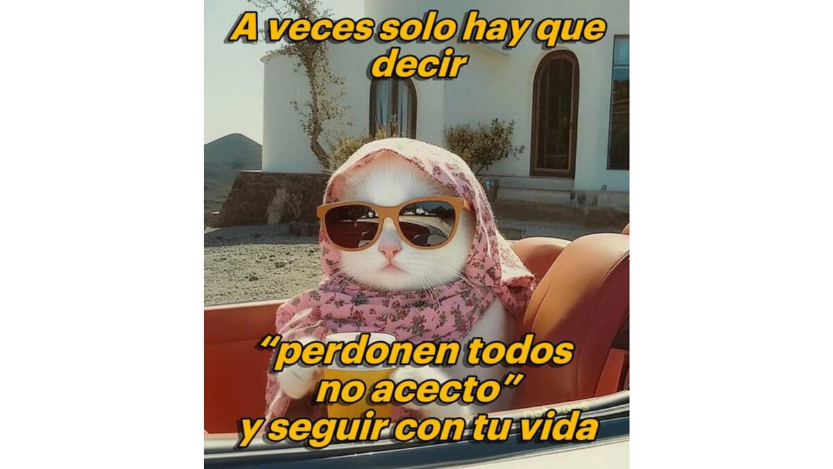 ‘Perdónenme todos, no acepto’: La triste historia real detrás del meme – El Financiero