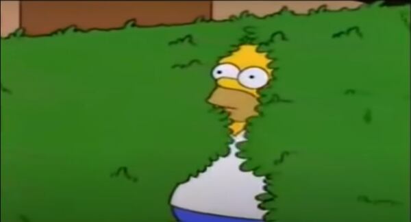 ‘Los Simpson’: Los mejores memes que nos ha dejado la serie de ...