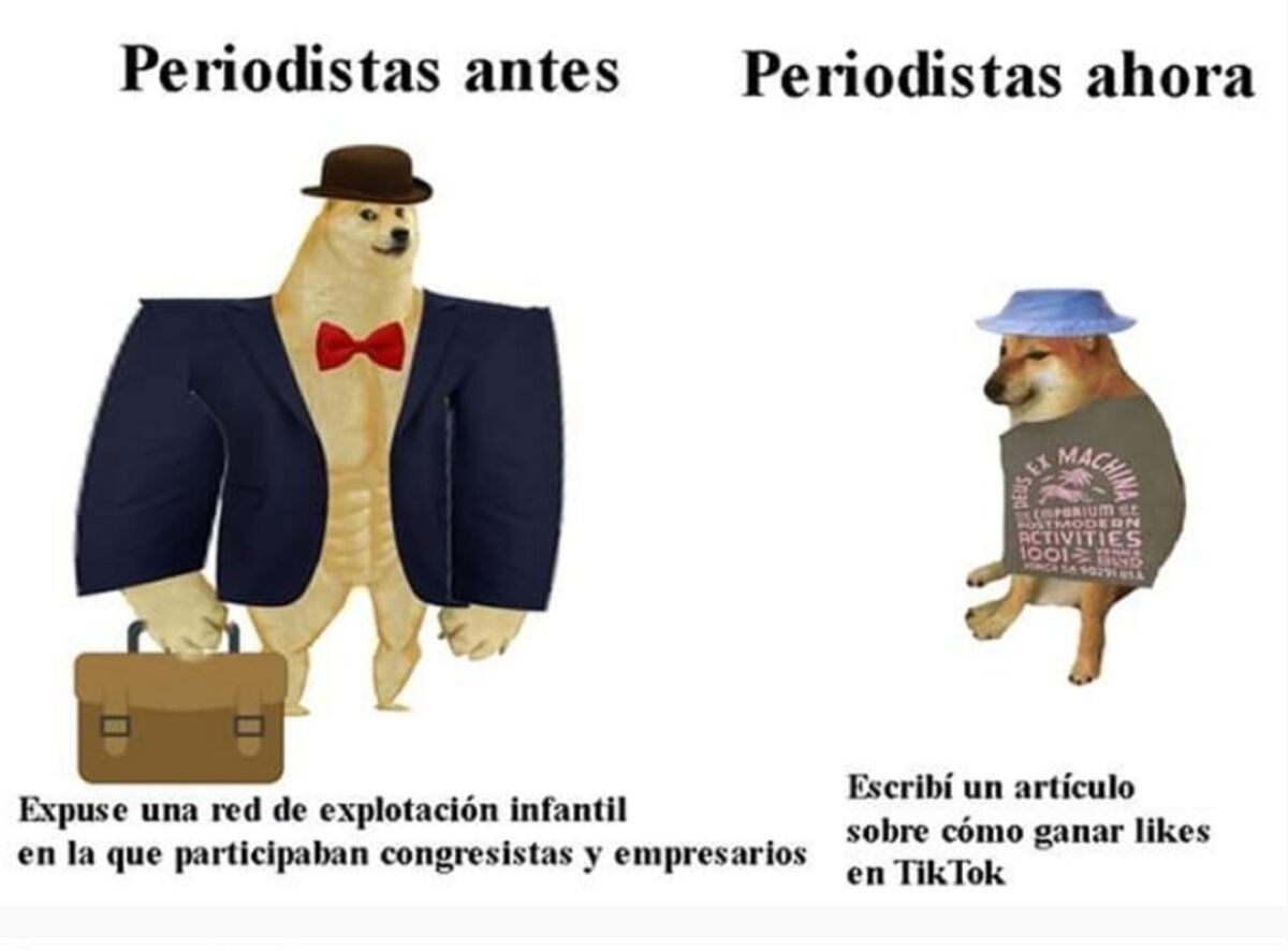 ¿Por qué se llama Cheems? La historia detrás del nombre del perrito que ...